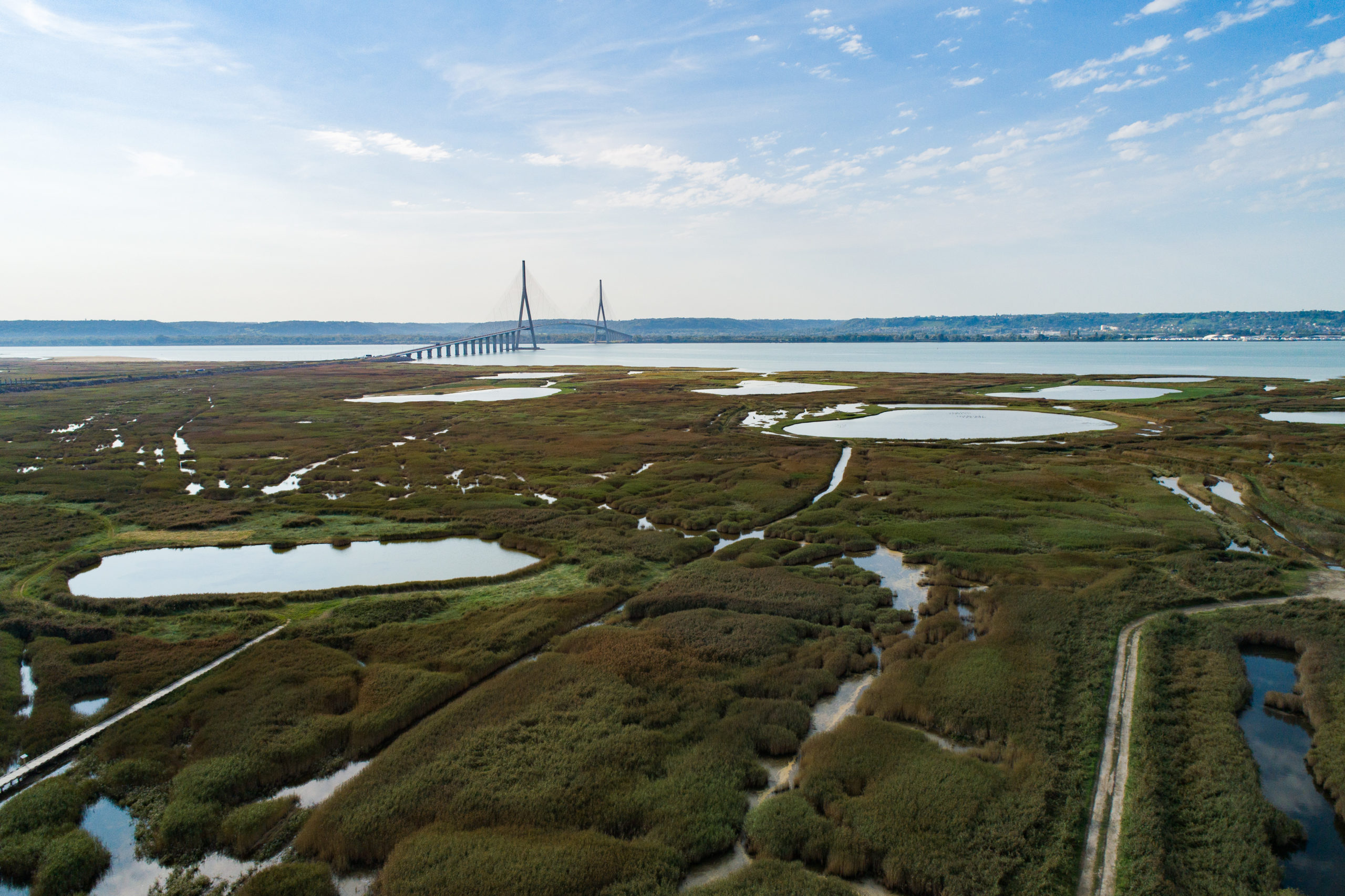 Surfaces en aires protégées terrestres en Normandie - L’Agence normande ...