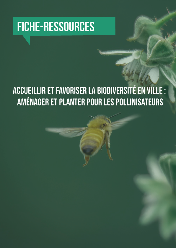 [Fiche-ressources] Accueillir et favoriser la biodiversité en ville ...